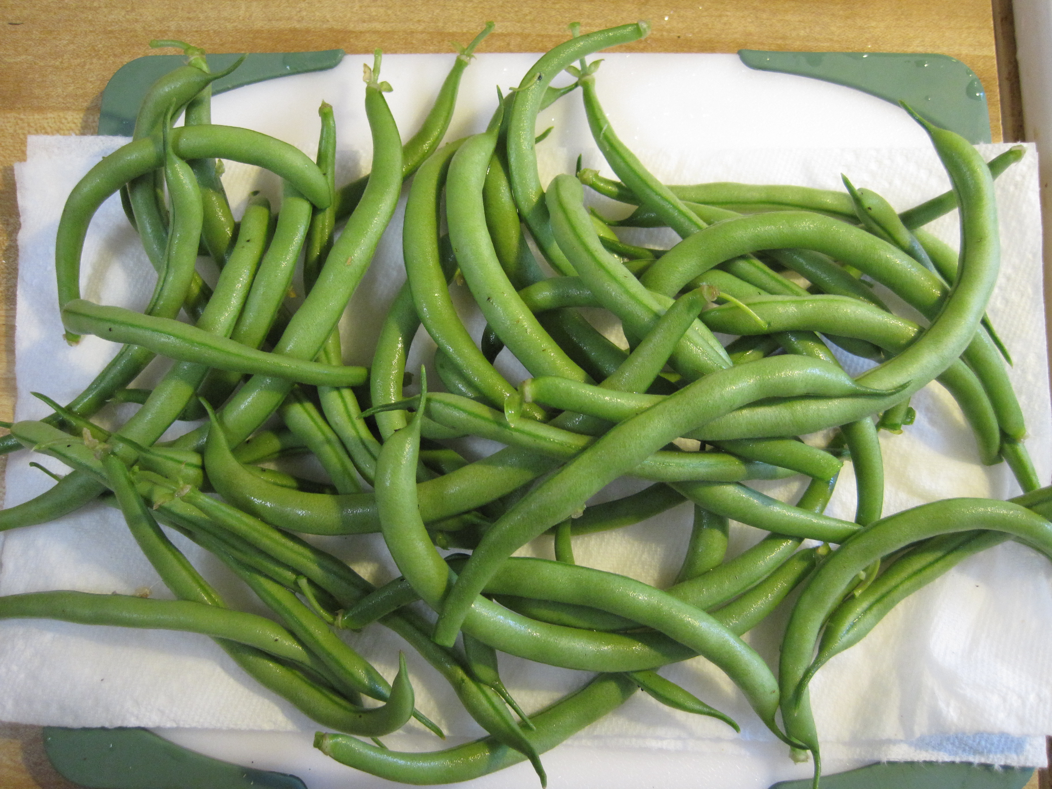 Green Beans From Plant To Plate In 40 Minutes Green Beans From Plant To Plate In 40 Minutes